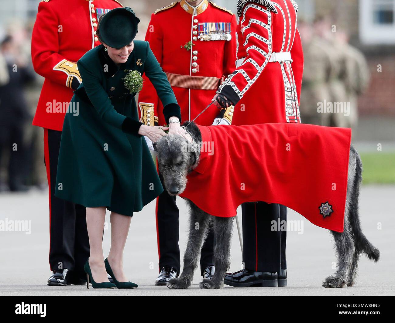 Britain's Kate,The Duchess of Cambridge, strokes Domnhall the Irish ...