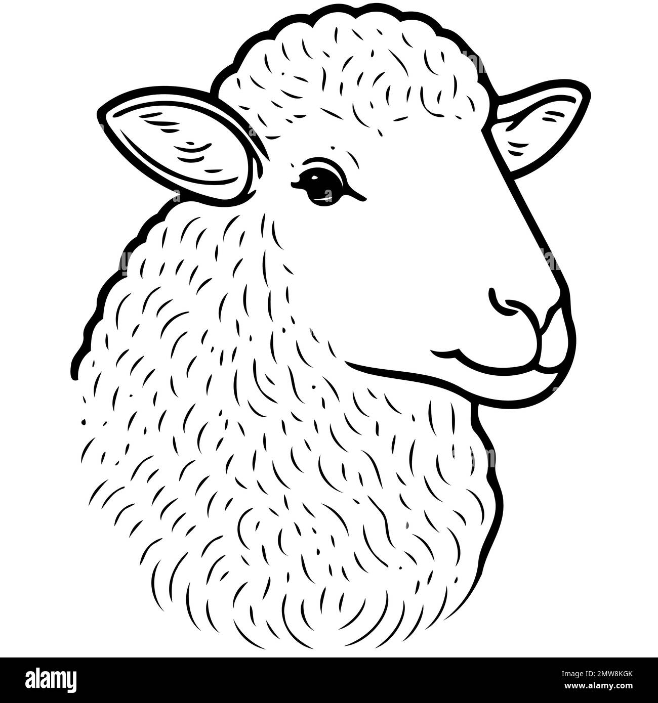 animal mammal sheep head isolated vector illustration Stock Vector ...