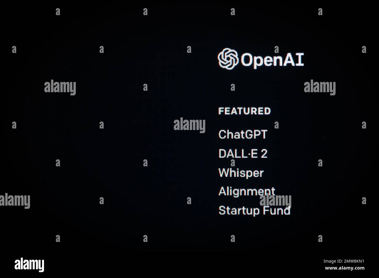 OpenAI web site opened on computer. OpenAI is the company behind the artificial intelligence bot ...