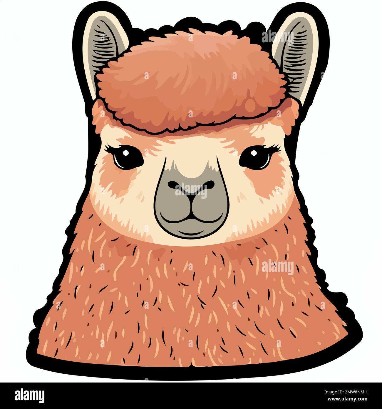 mammal animal head llama colorful vector illustration Stock Vector ...