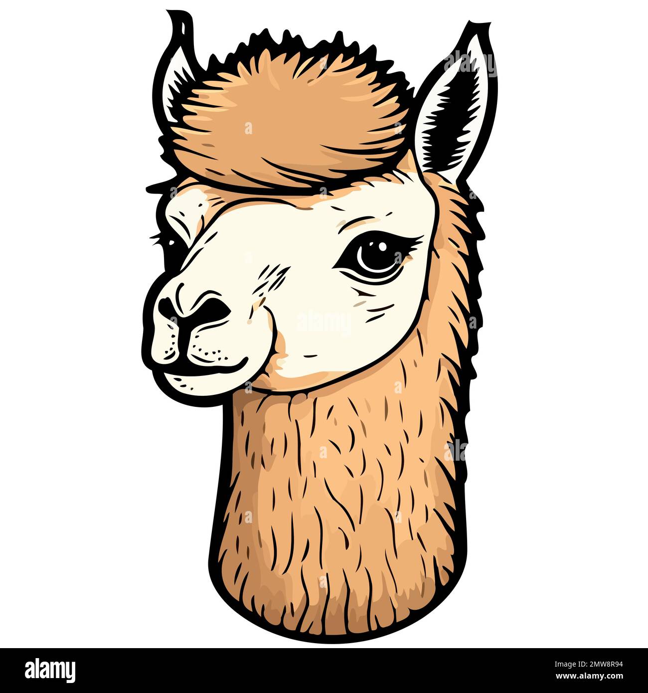 mammal animal head llama colorful vector illustration Stock Vector ...
