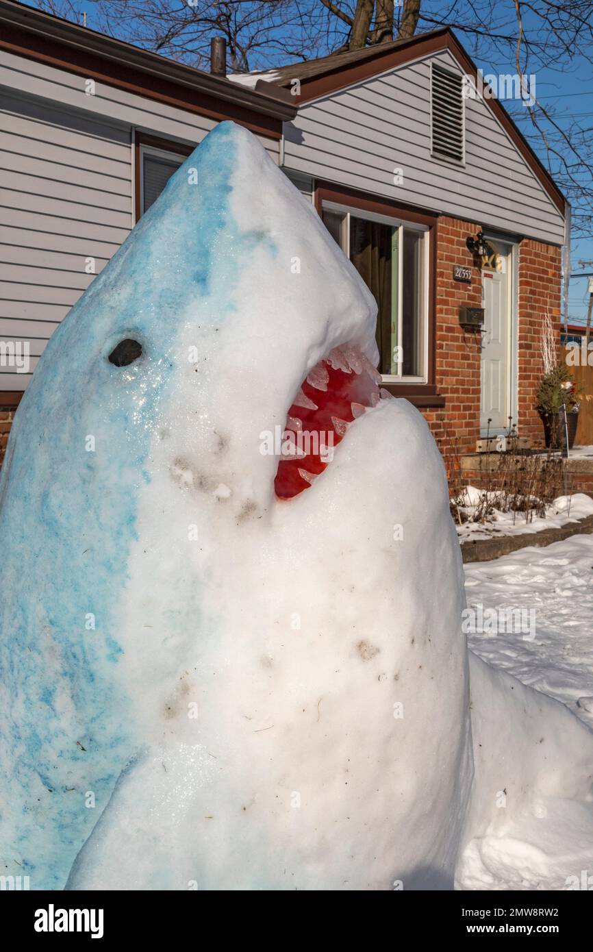 Madison Heights, Michigan, USA. 1st Feb, 2023. Snow sharks on a lawn in ...