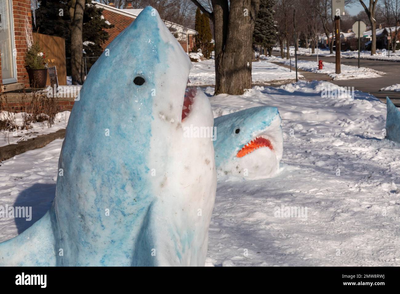 Shark Made Out Of Snow