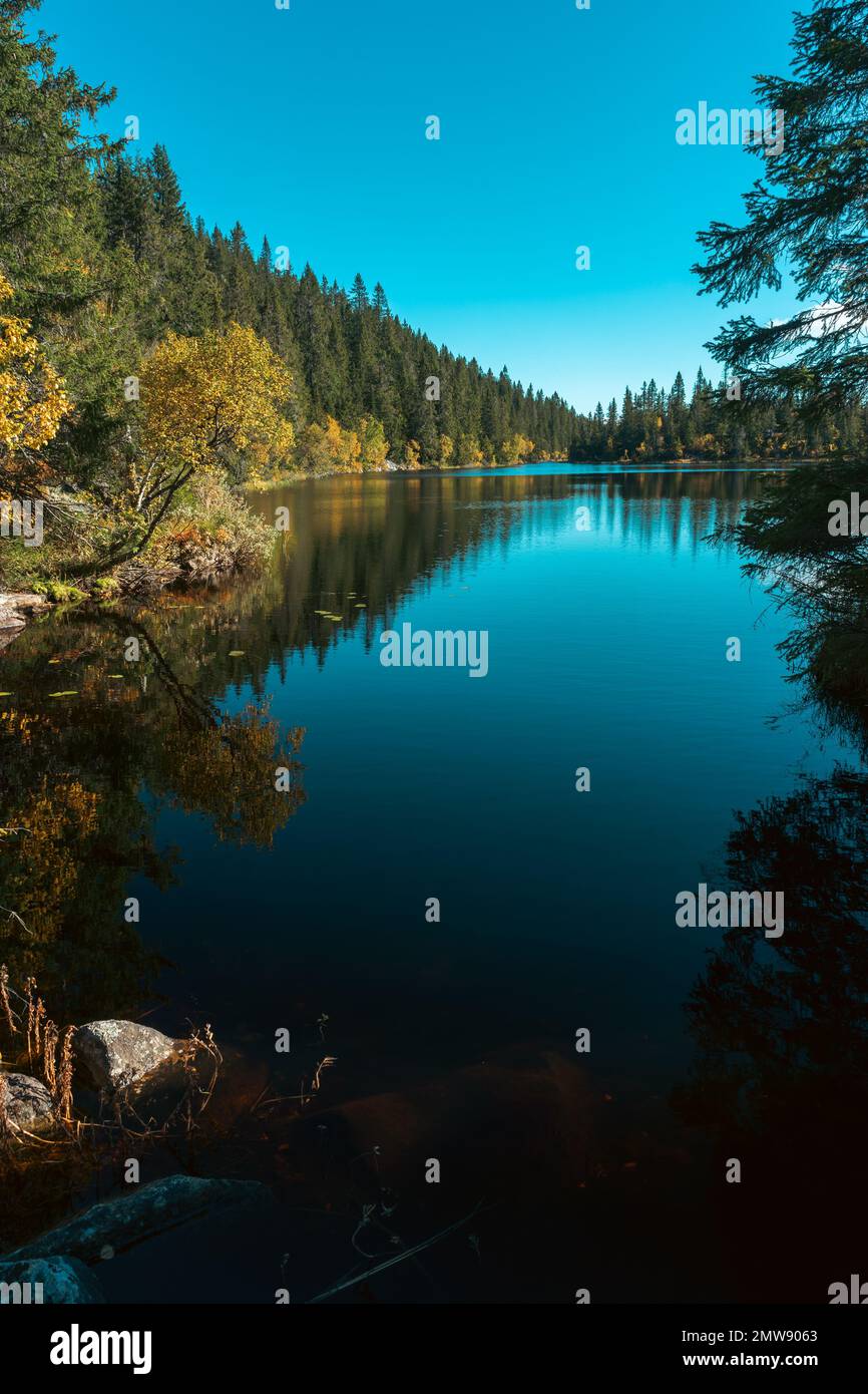 A beautiful view of the Svartdalstjern Lake of the Svartdalstjerna ...