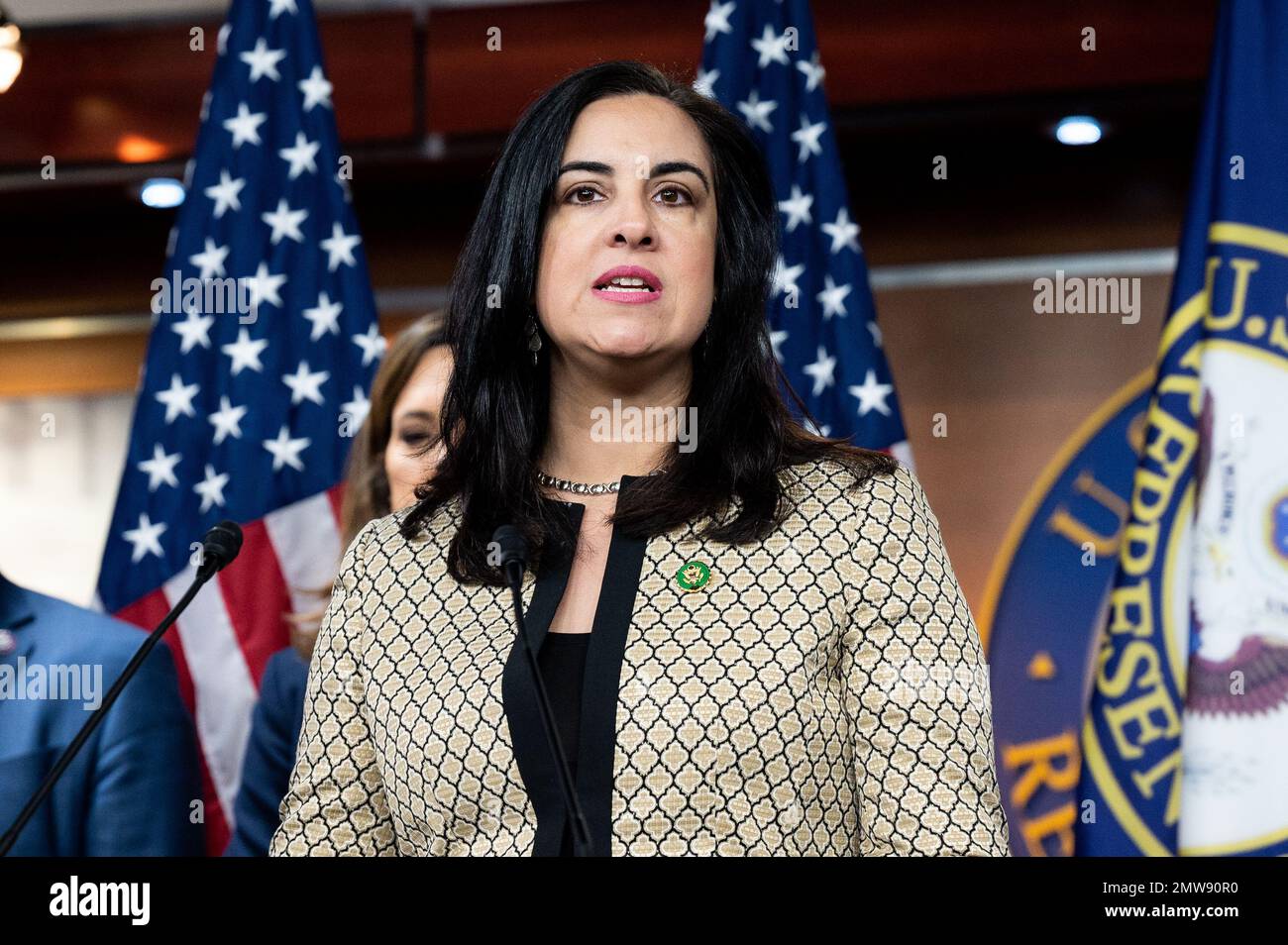 U.S. Representative Nicole Malliotakis (R-NY) speaking at a ...