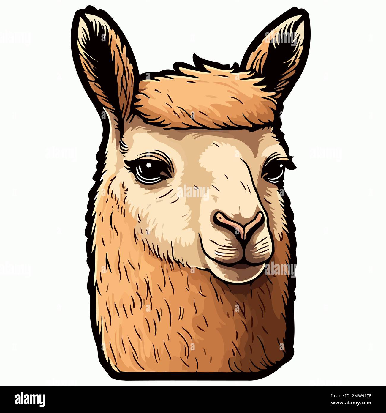 mammal animal head llama colorful vector illustration Stock Vector ...