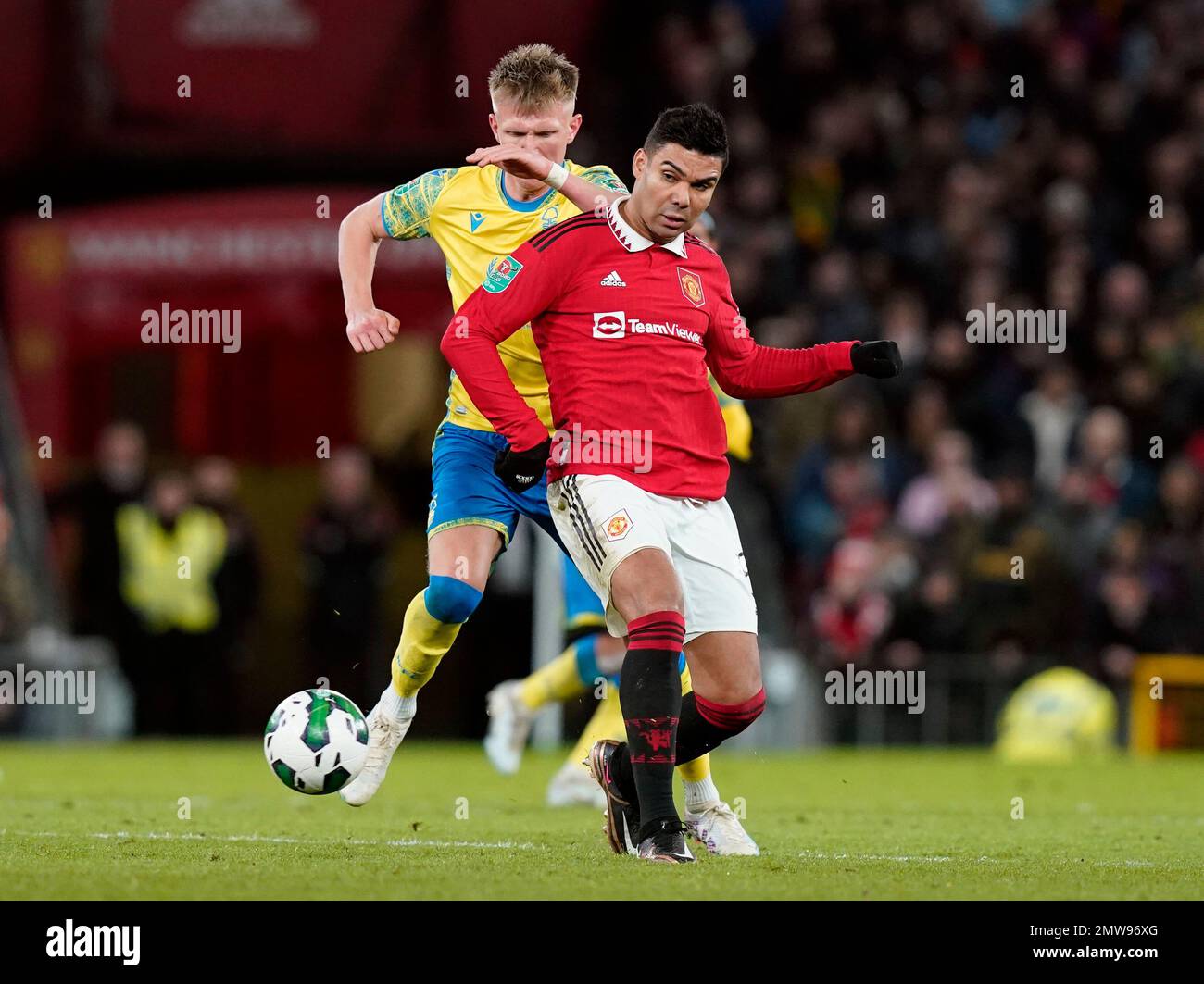 Chases forest hi-res stock photography and images - Alamy