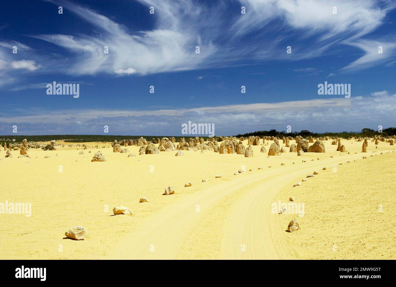 Australia, Nambung National Park, desert road by limestone pillars ...