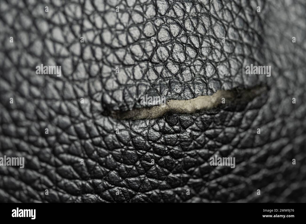 Ripped Leather Texture