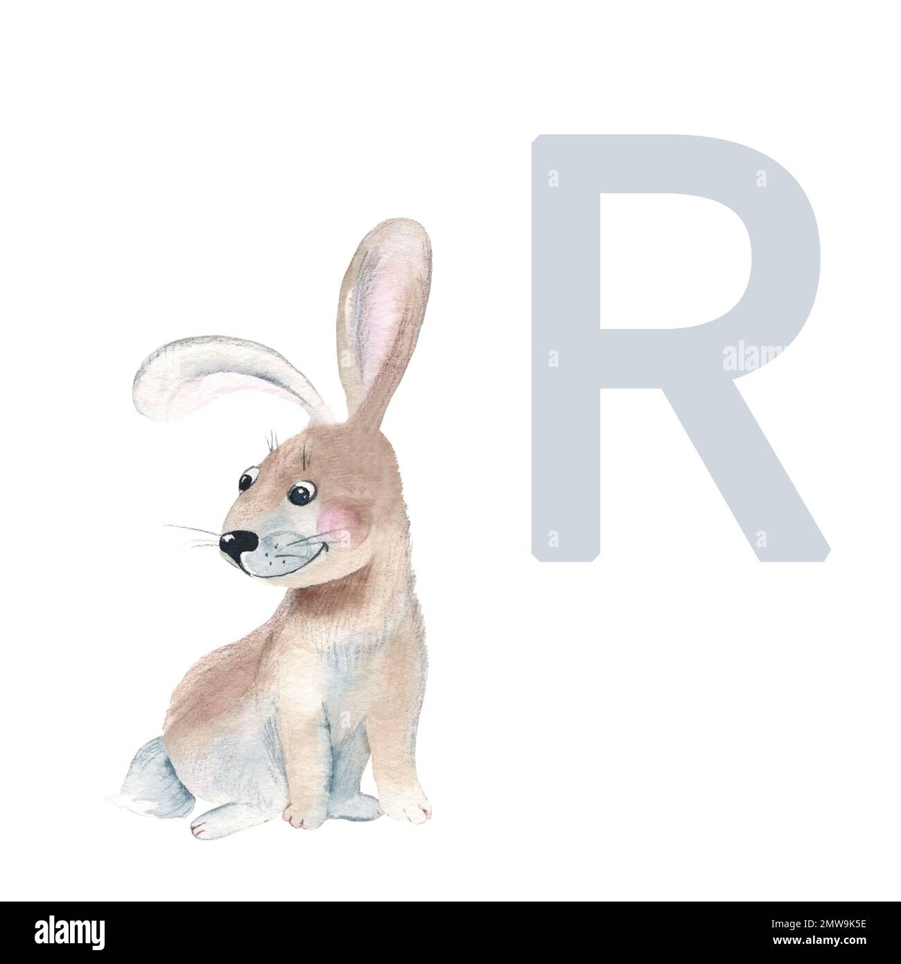 Letter R, rabbit, cute kids animal ABC alphabet. Watercolor illustration isolated on white ...