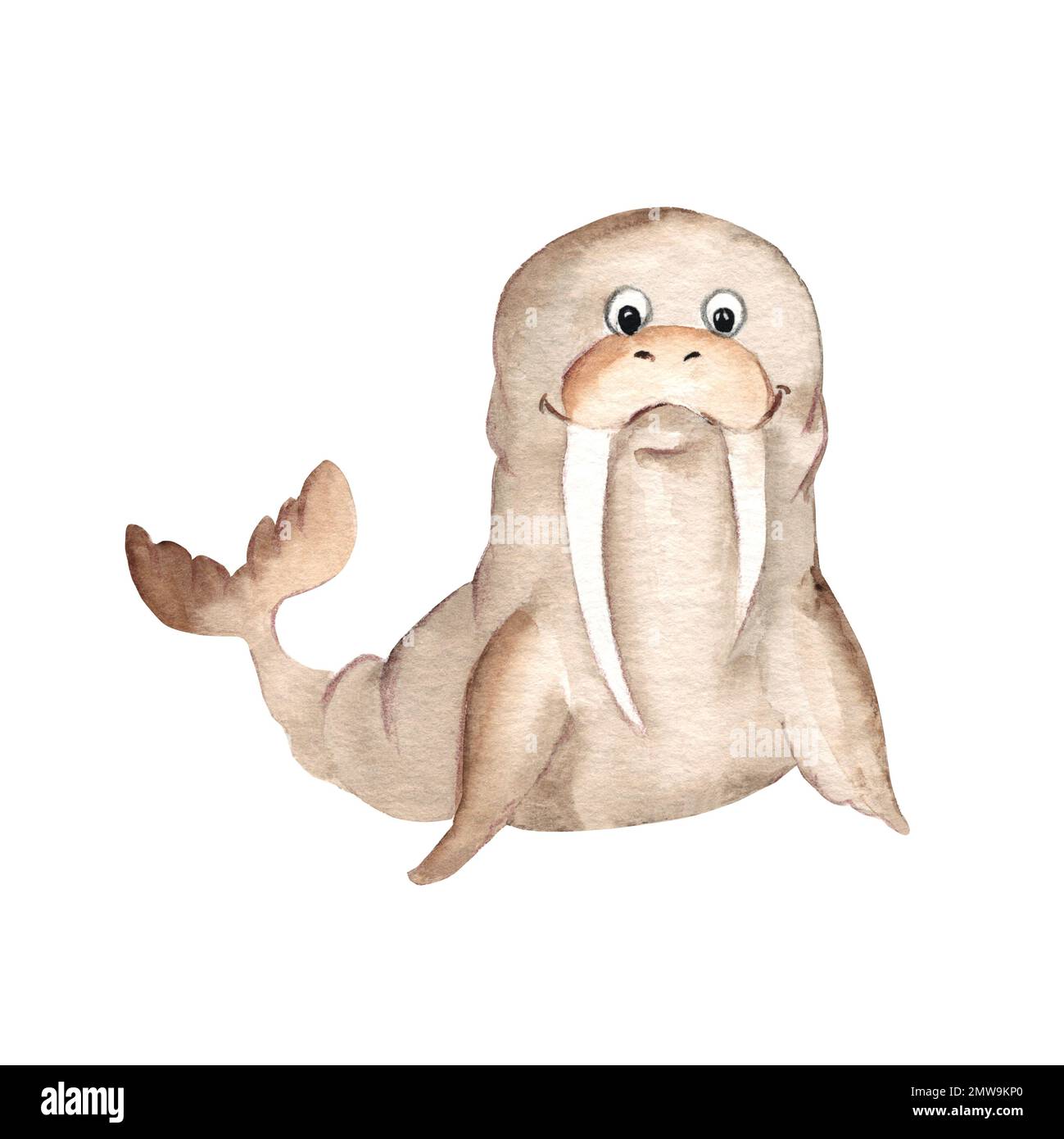 Cute Walrus Wallpaper