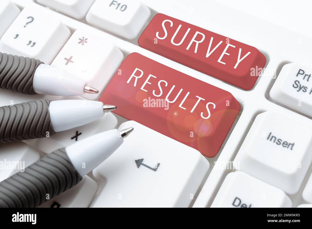 Text caption presenting Survey Results. Business overview result of ...