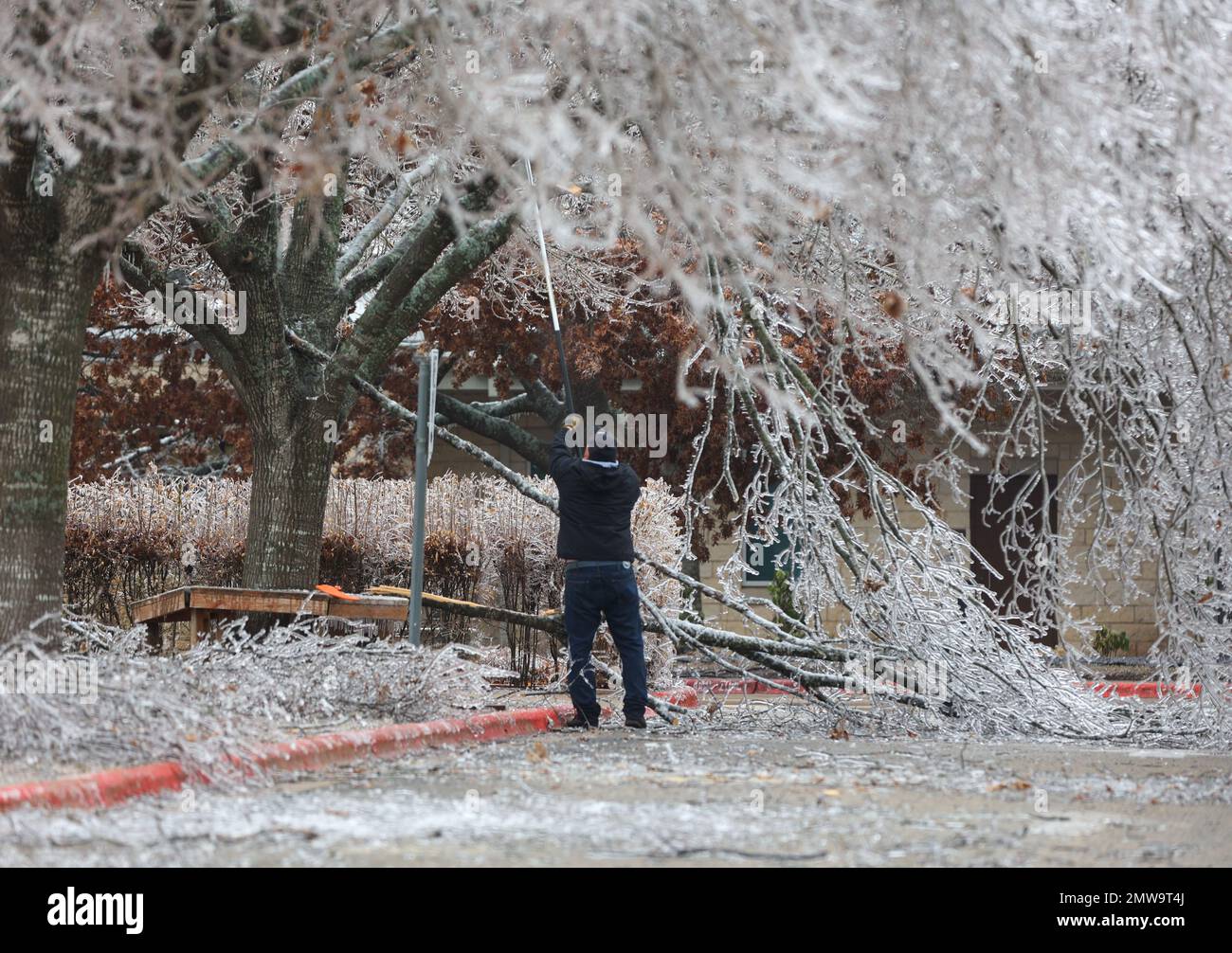 Blasted trees hi-res stock photography and images - Alamy