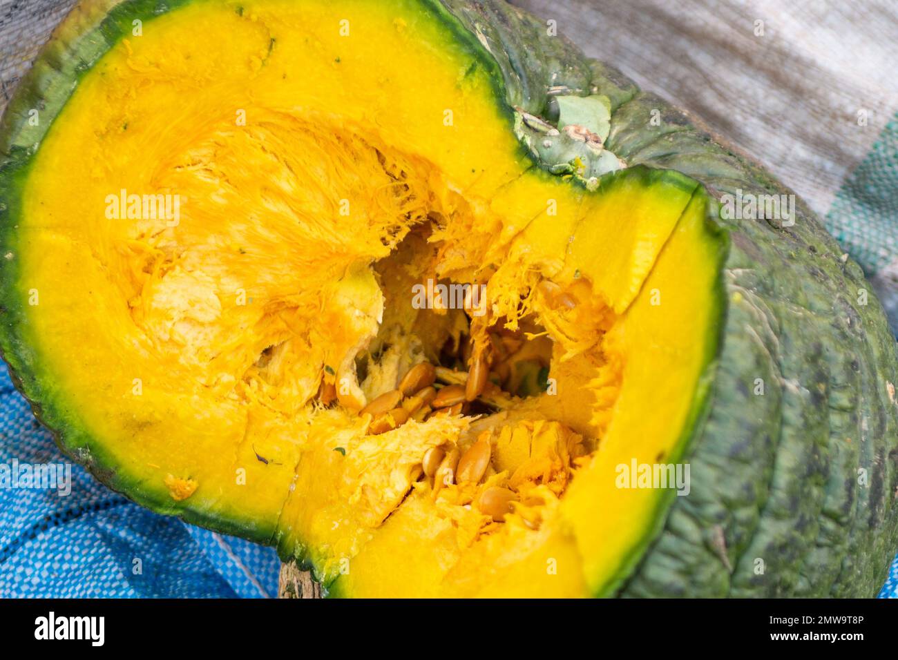 Green pumkin at a market sliced open to show the inside Stock Photo - Alamy