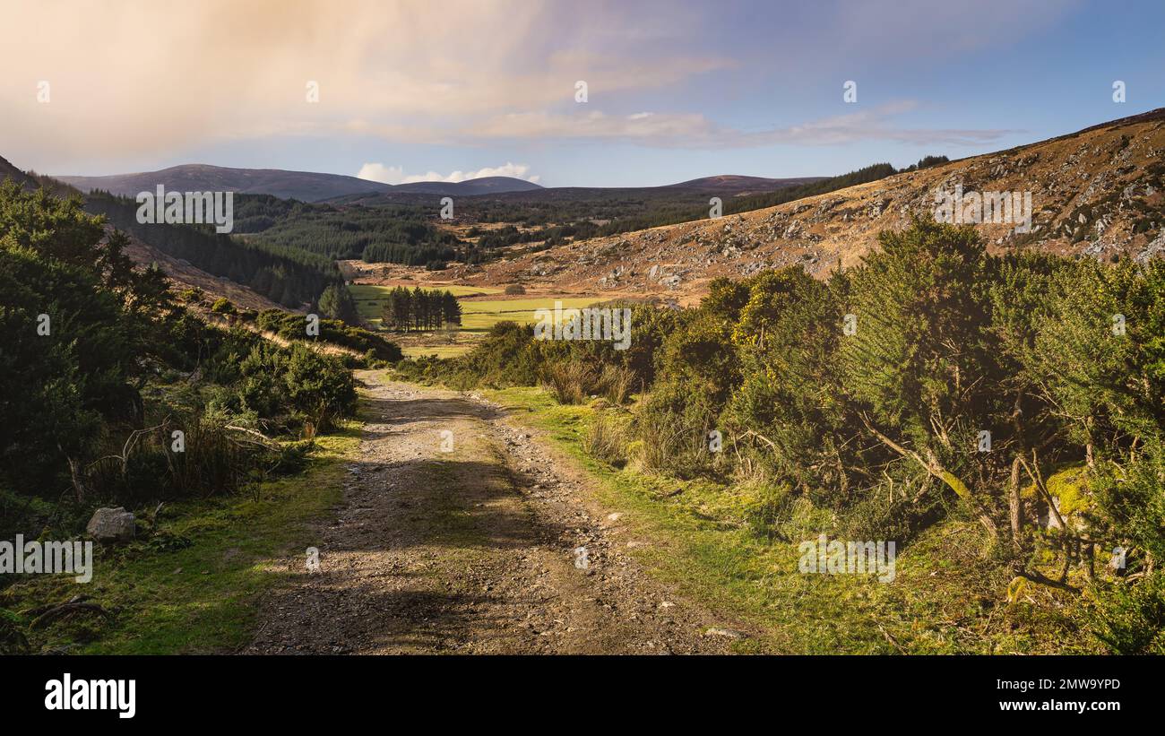 Country road, a path, leading down to the valley with meadows, forest ...
