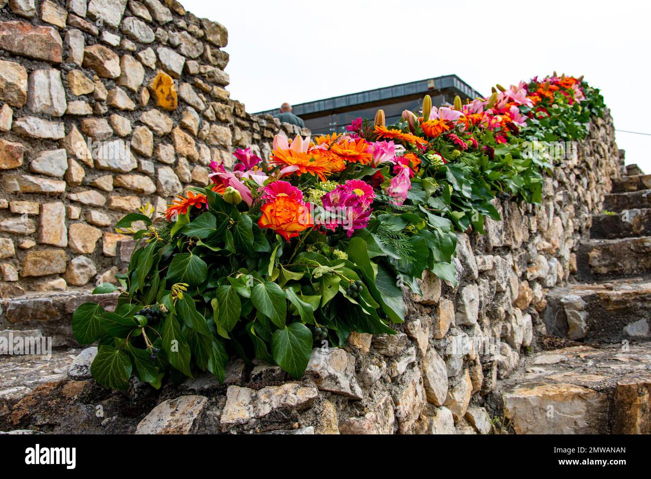 Roman flowers hi-res stock photography and images - Alamy