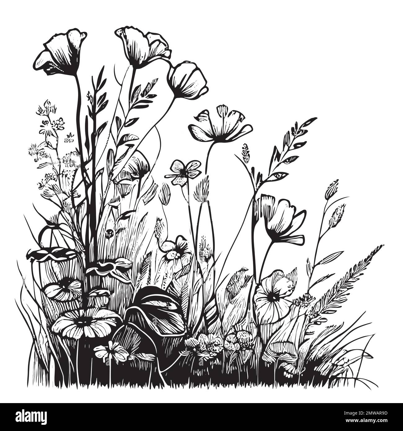 Silhouette wild flowers sketch hand drawn sketch in doodle style Vector ...