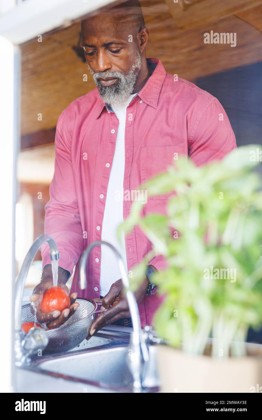 Thoughtful african american man washing tomatoes at kitchen sink in log ...