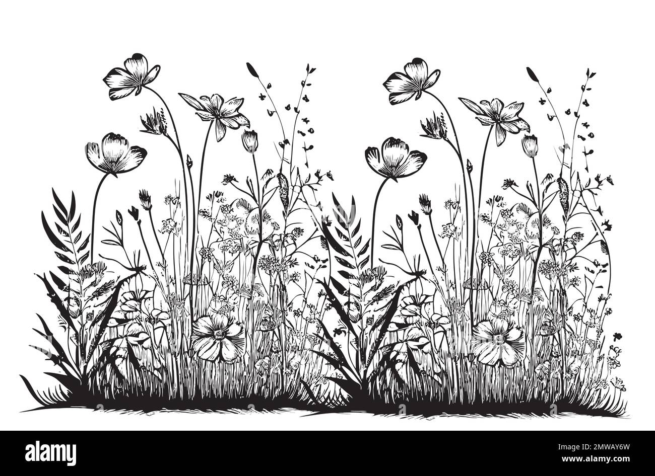 Flower border design Black and White Stock Photos & Images - Alamy