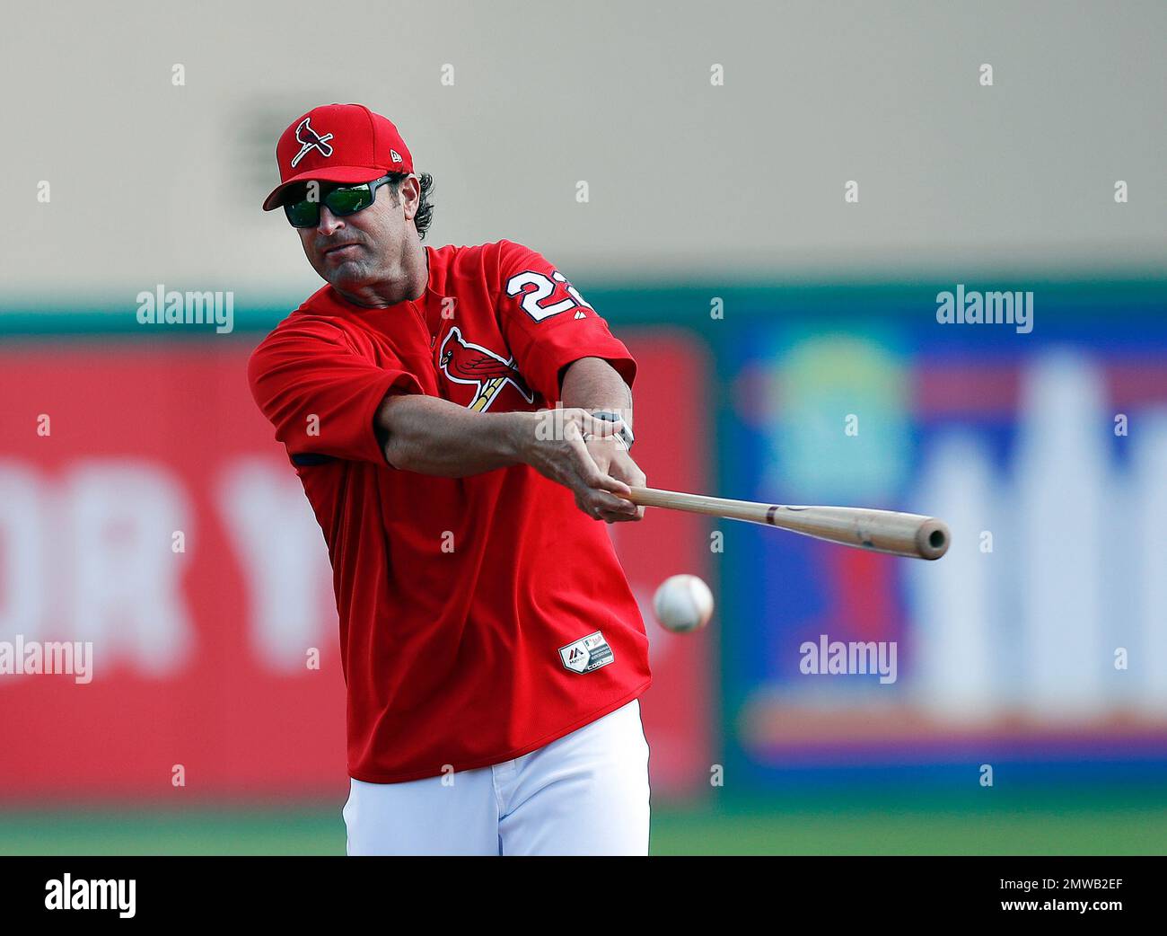 St. Louis Cardinals manager Mike Matheny (22) hits grounders to his ...