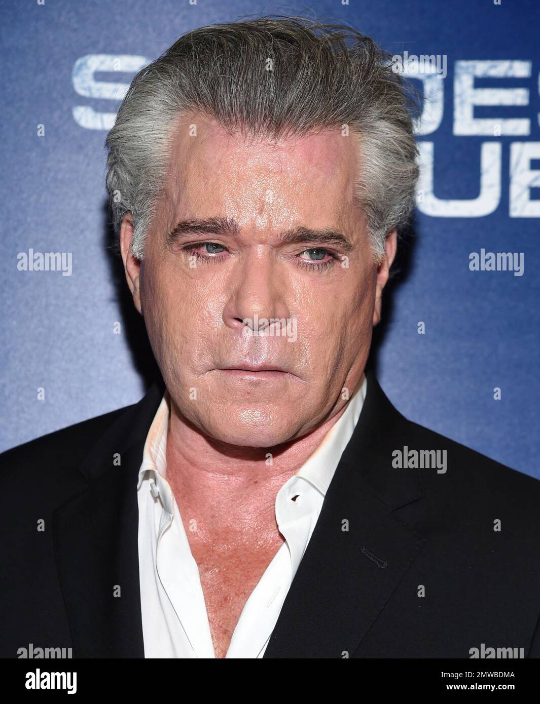 Actor Ray Liotta attends the "Shades of Blue" season two premiere ...