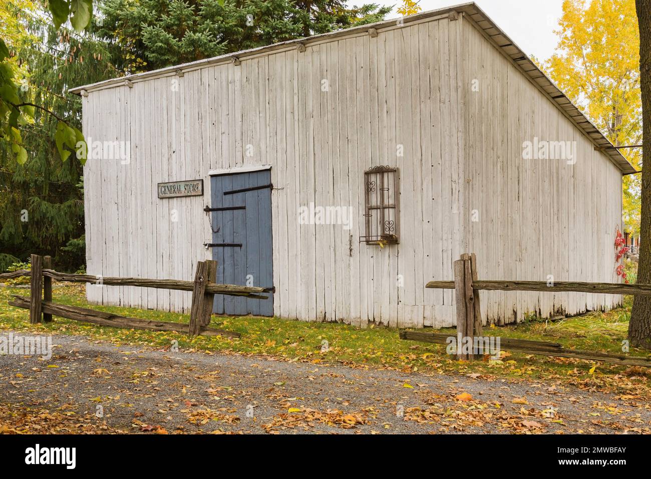 Old white painted wooden vertical plank barn facade with dark grey ...