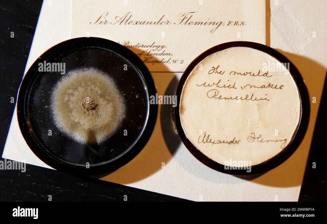 In this photo taken on Thursday, Feb. 16, 2017, a capsule of original ...