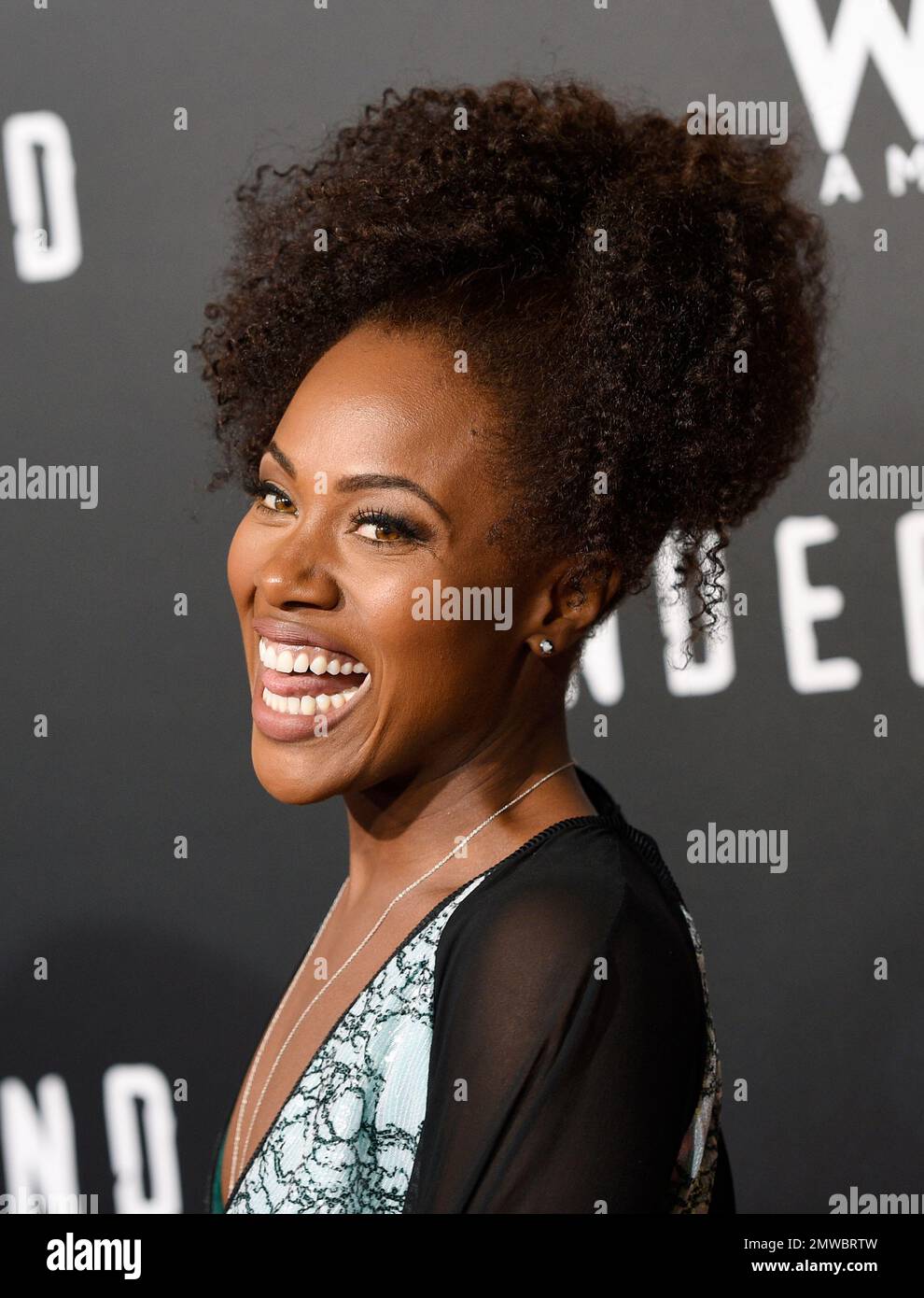 DeWanda Wise, a cast member in "Underground," poses at the season two ...