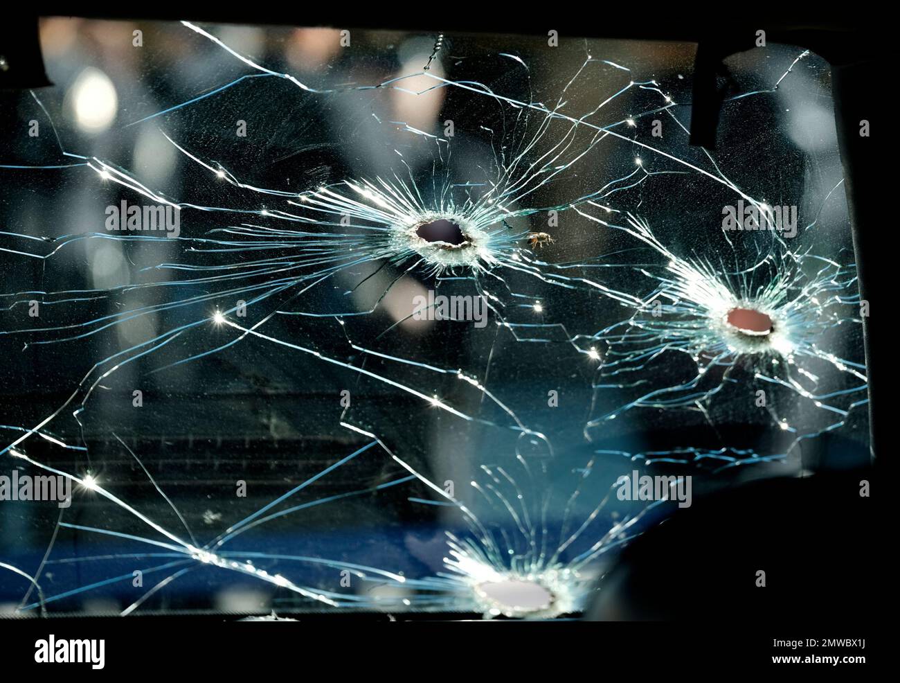 An inside view of a bullet ridden windshield of an Los Angeles police ...