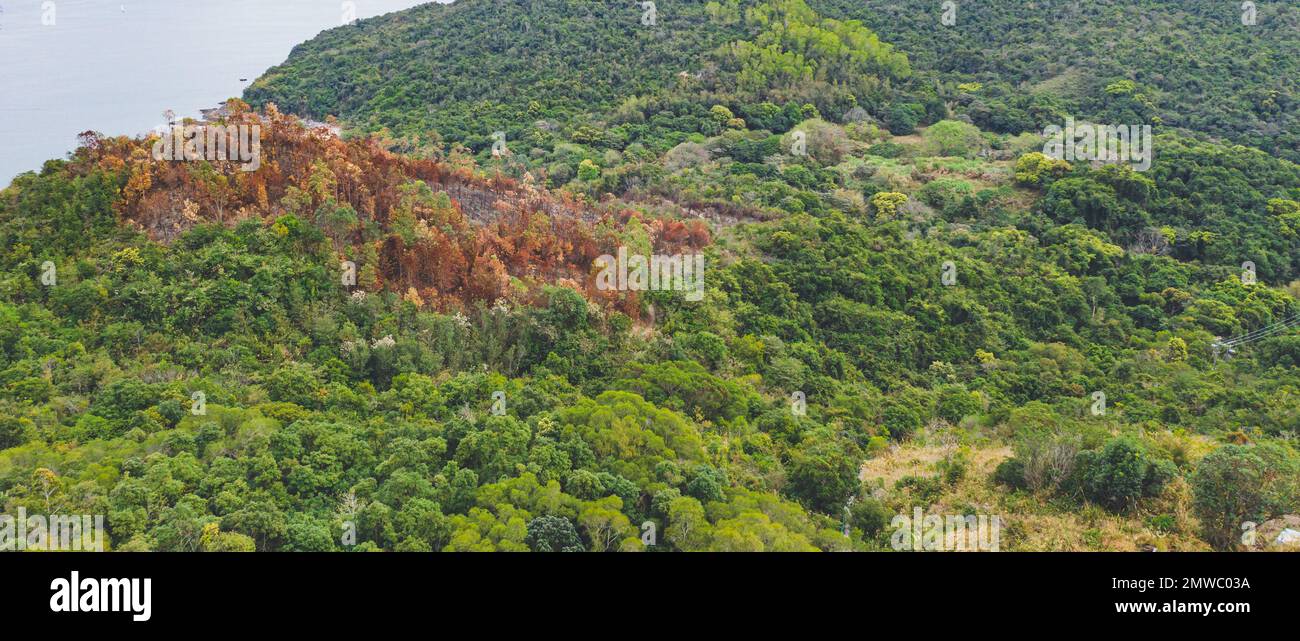 A panoramic aerial view of the hills of Ma Nam Wat village Stock Photo ...