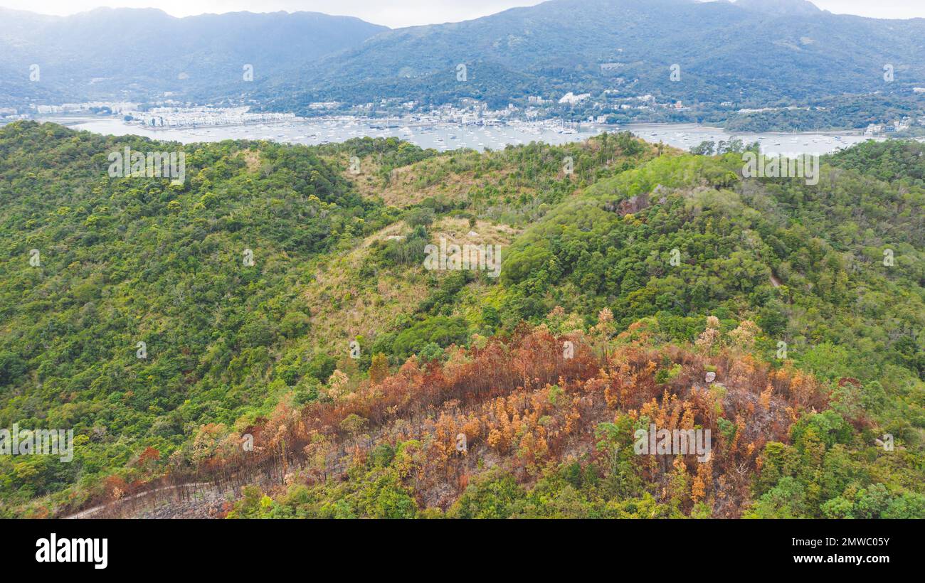 Ma nam wat hi-res stock photography and images - Alamy