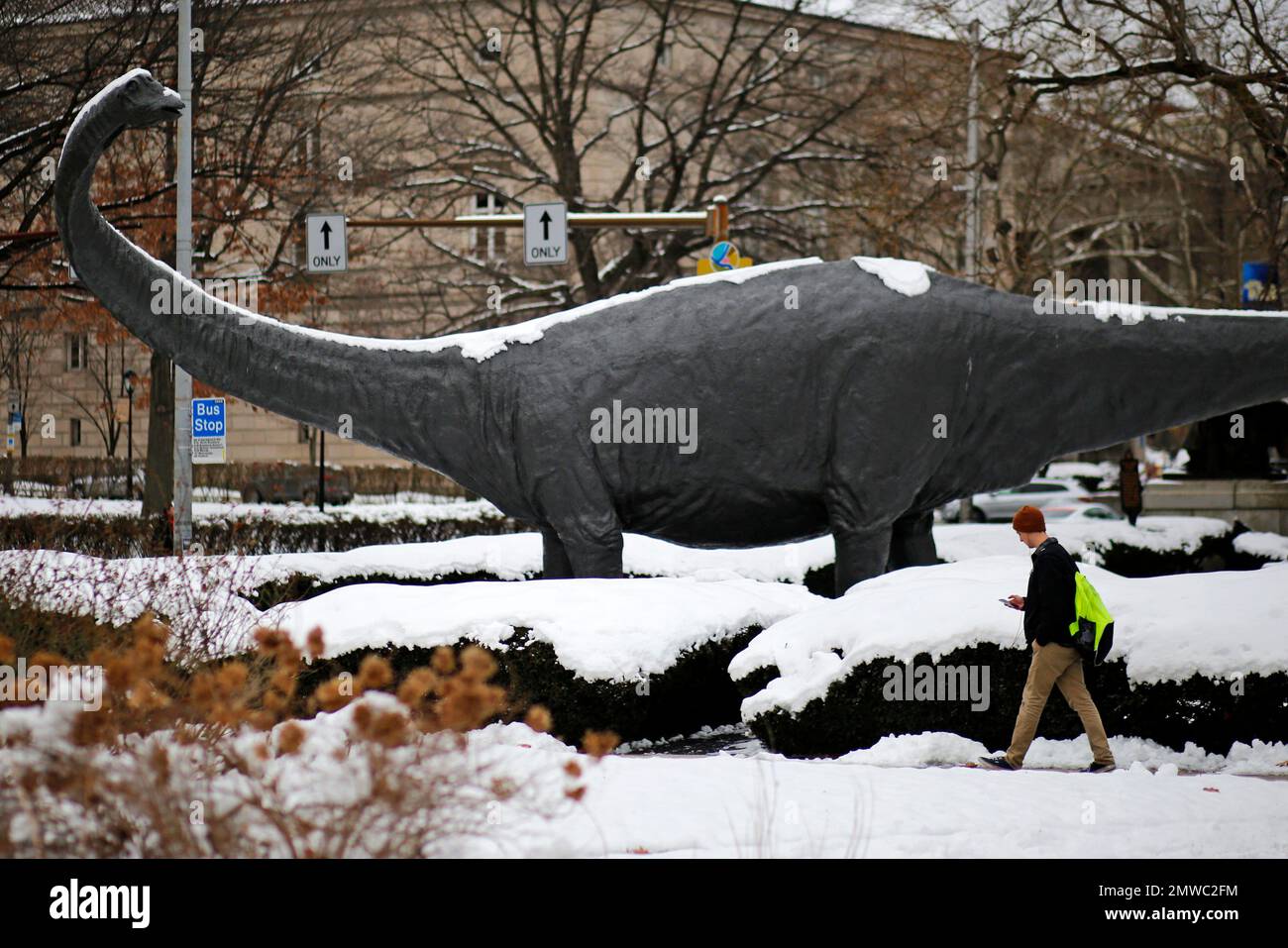 FILE - In this Feb. 10, 2017, file photo, a student walks past "Dippy ...