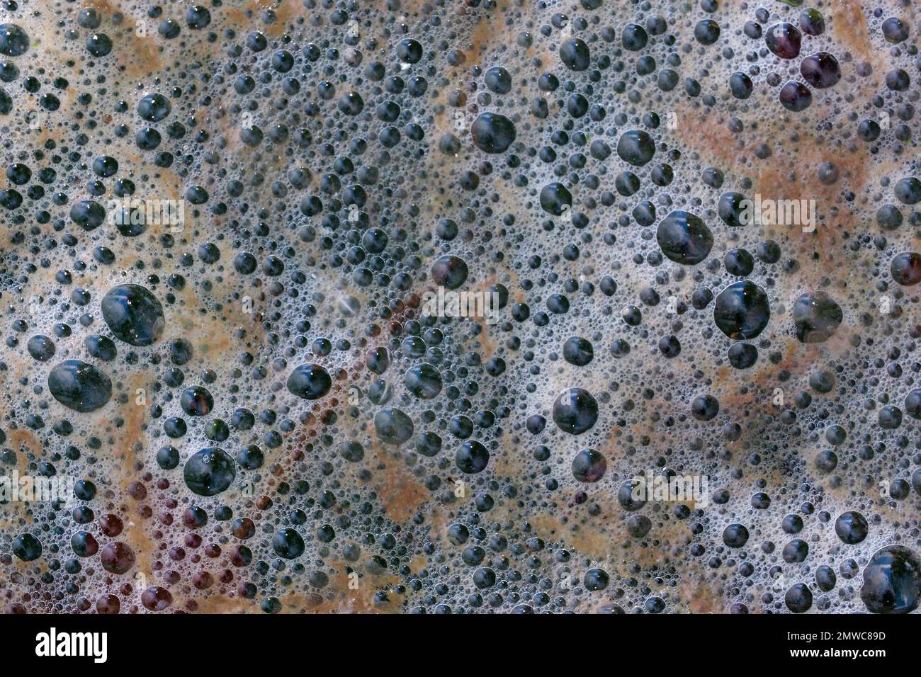 Dirty puddle with foam and bubbles Stock Photo - Alamy