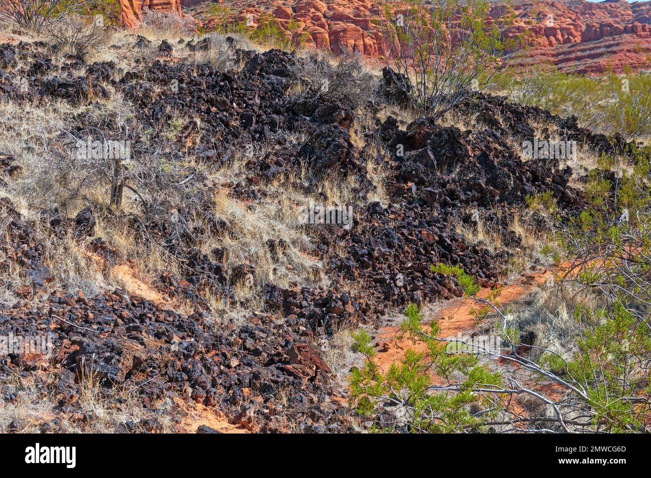 Volcanic Flow Into the Desert in Snow Canyon State Park in Utah Stock ...