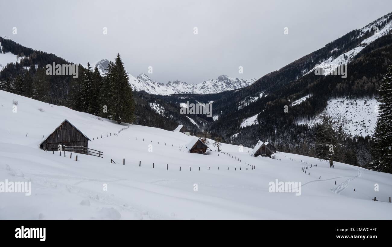 Winter landscape, Ardningalm, Enns Valley, Styria, Austria Stock Photo ...