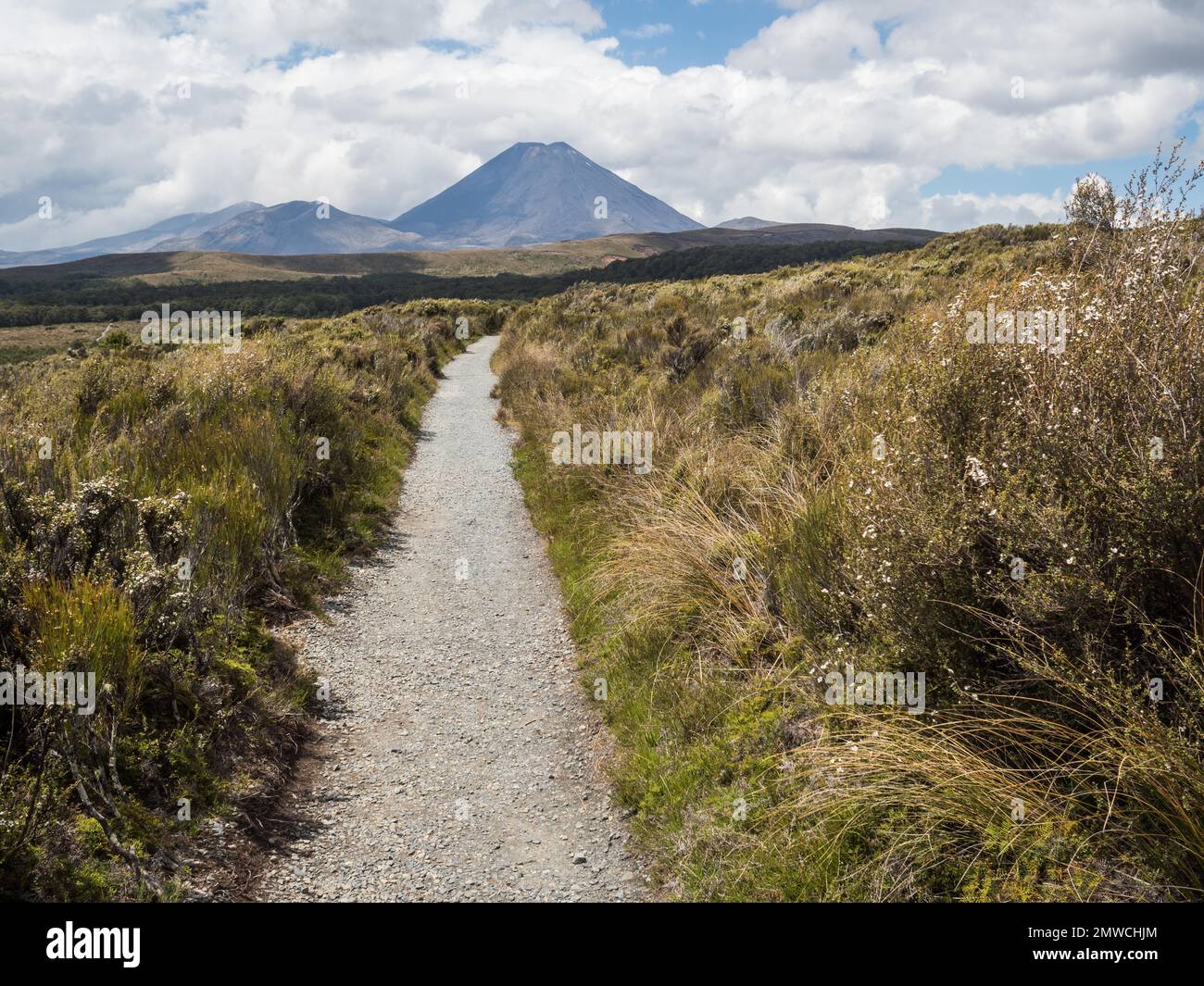 Taranaki Falls Track, Tongariro National Park, North Island, New ...