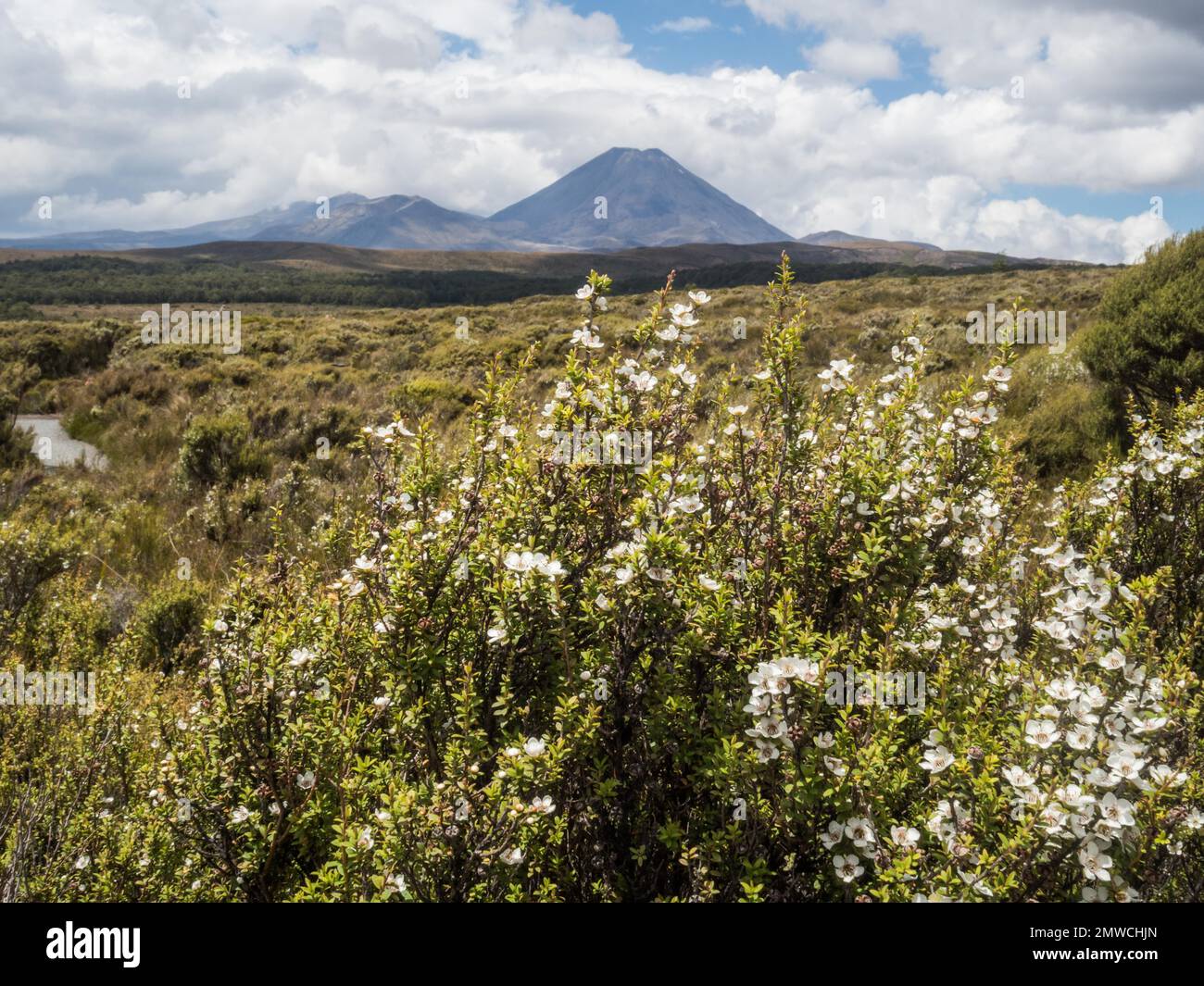 Taranaki Falls Track, Tongariro National Park, North Island, New ...