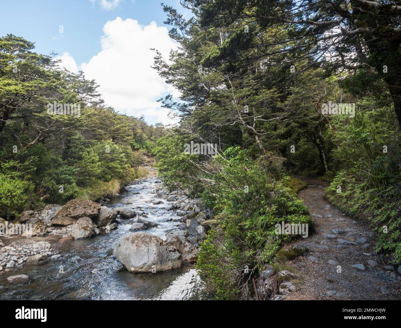 Taranaki Falls Track, Tongariro National Park, North Island, New ...