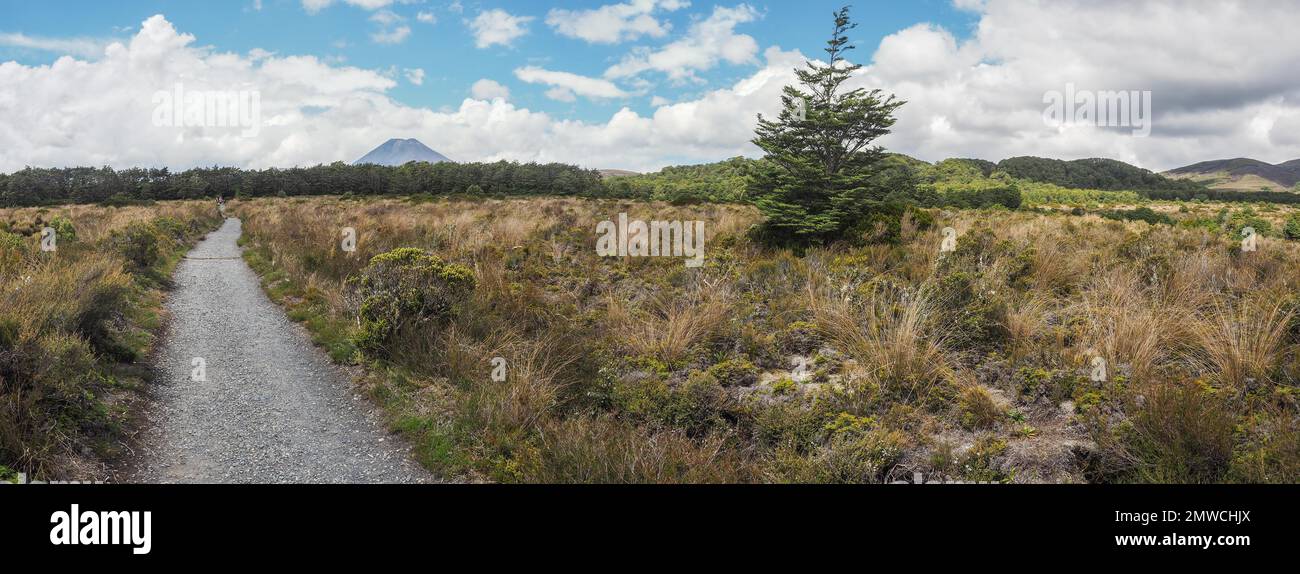 Taranaki Falls Track, Tongariro National Park, North Island, New ...