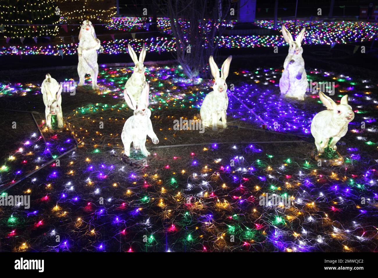 HAMI, CHINA - FEBRUARY 1, 2023 - The 2023 Light show celebrates the ...