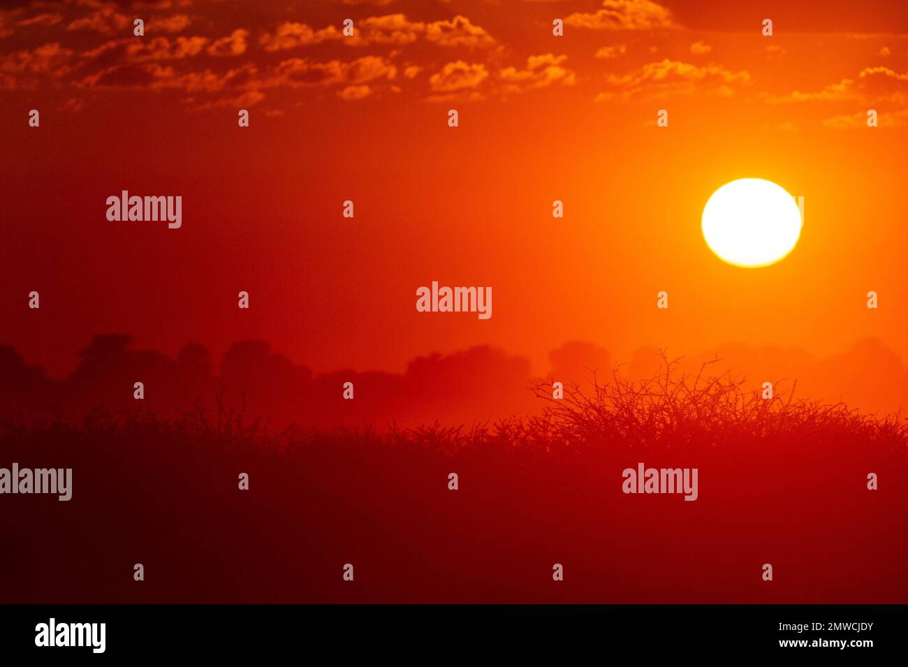 Sunset over the African Bush, Duma Tau Camp, Botswana Stock Photo - Alamy
