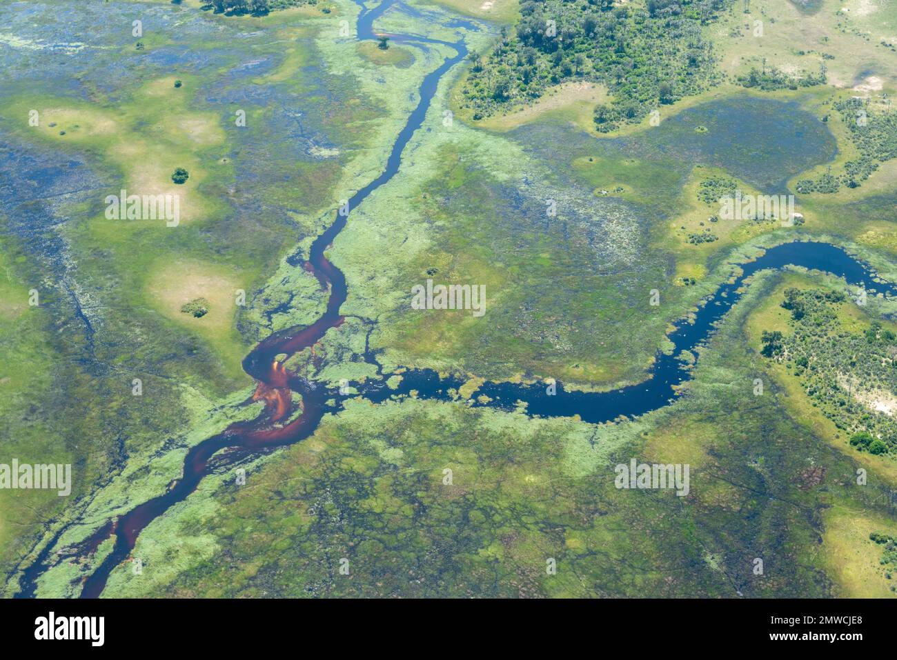 Aerial view of the river system in the Okavango Delta, Botswana Stock ...