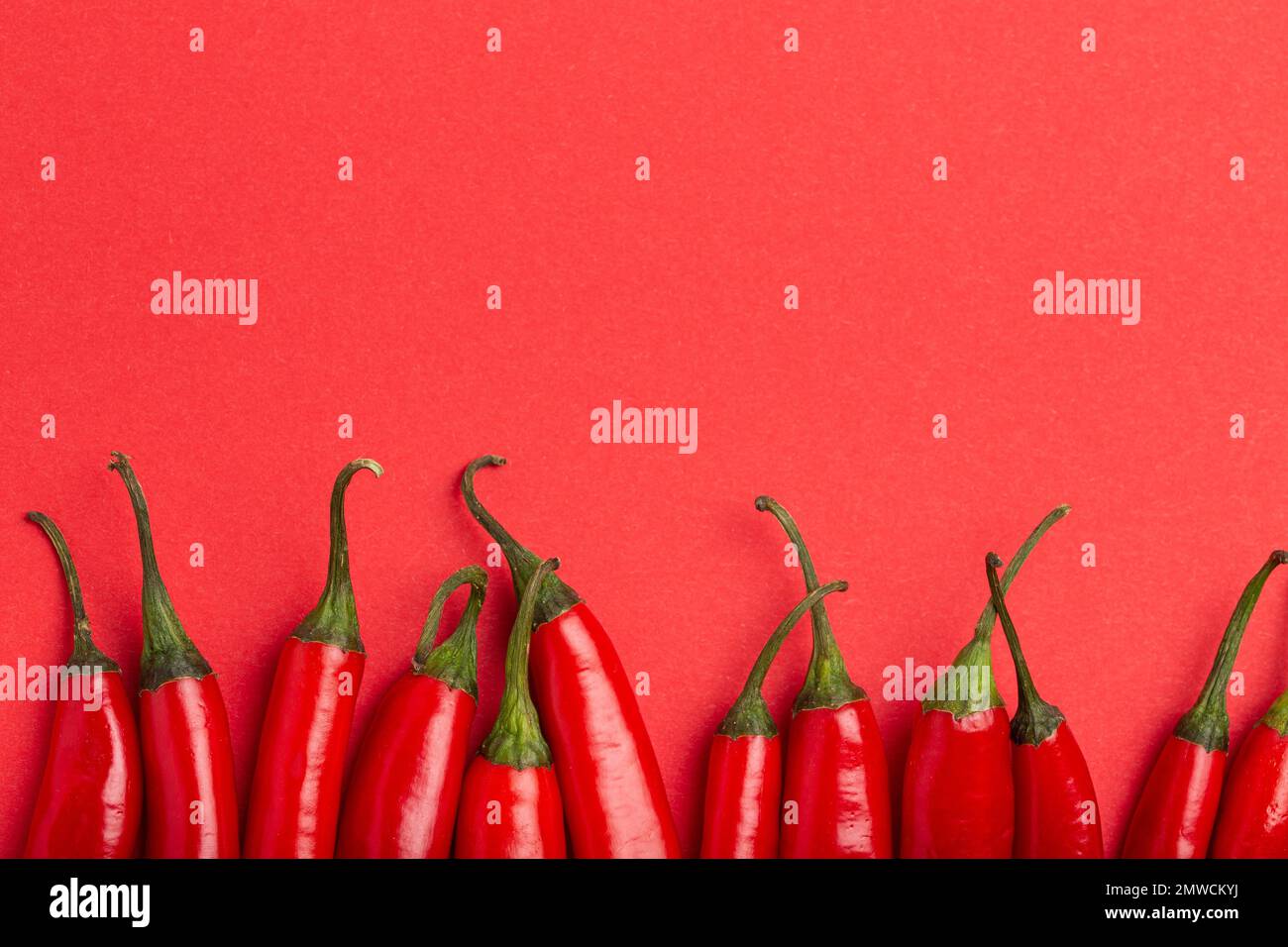Red hot chilli peppers on minimal red background close up macro flat ...