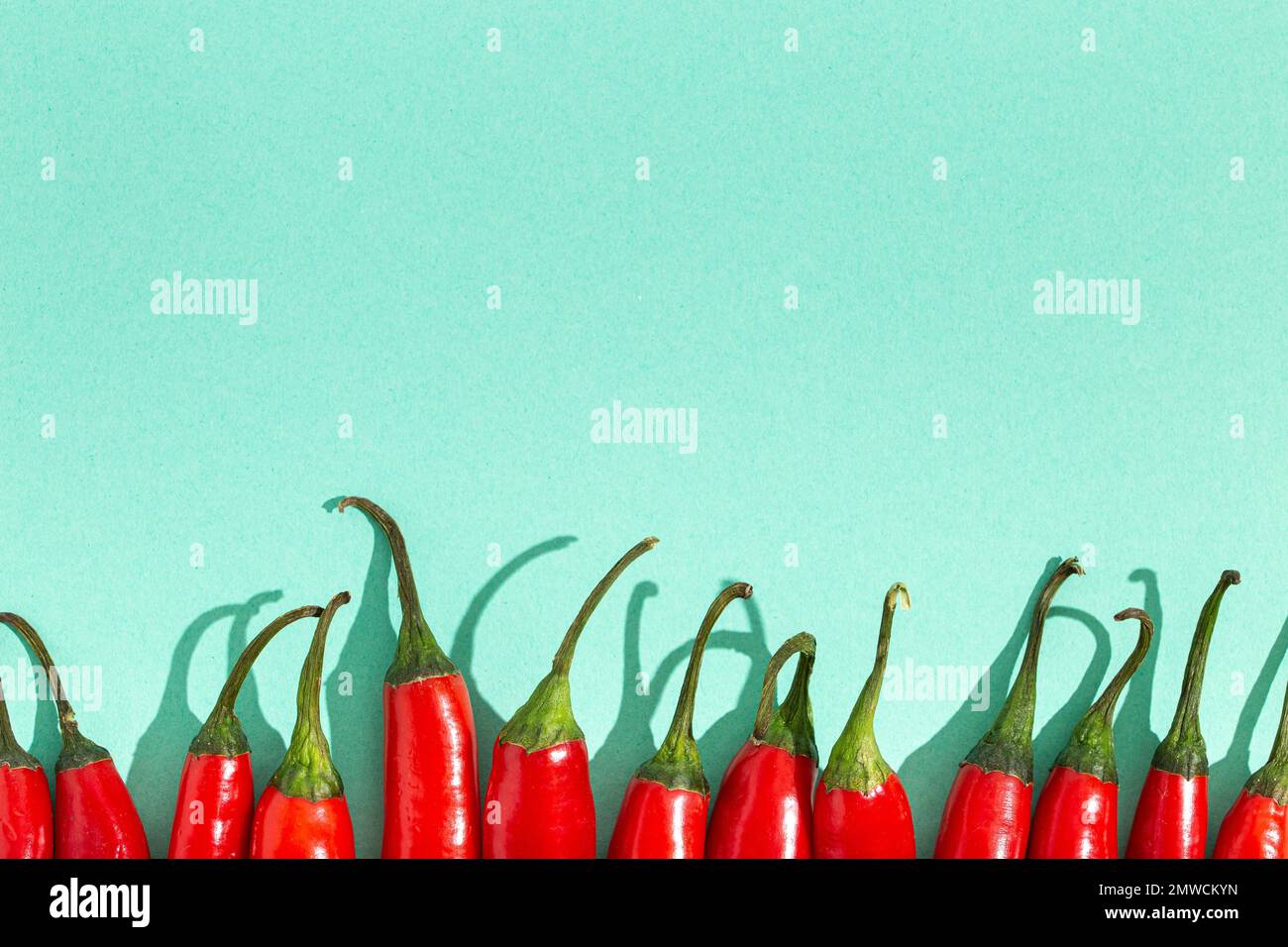 Red hot chilli peppers on minimal blue contrast background close up ...