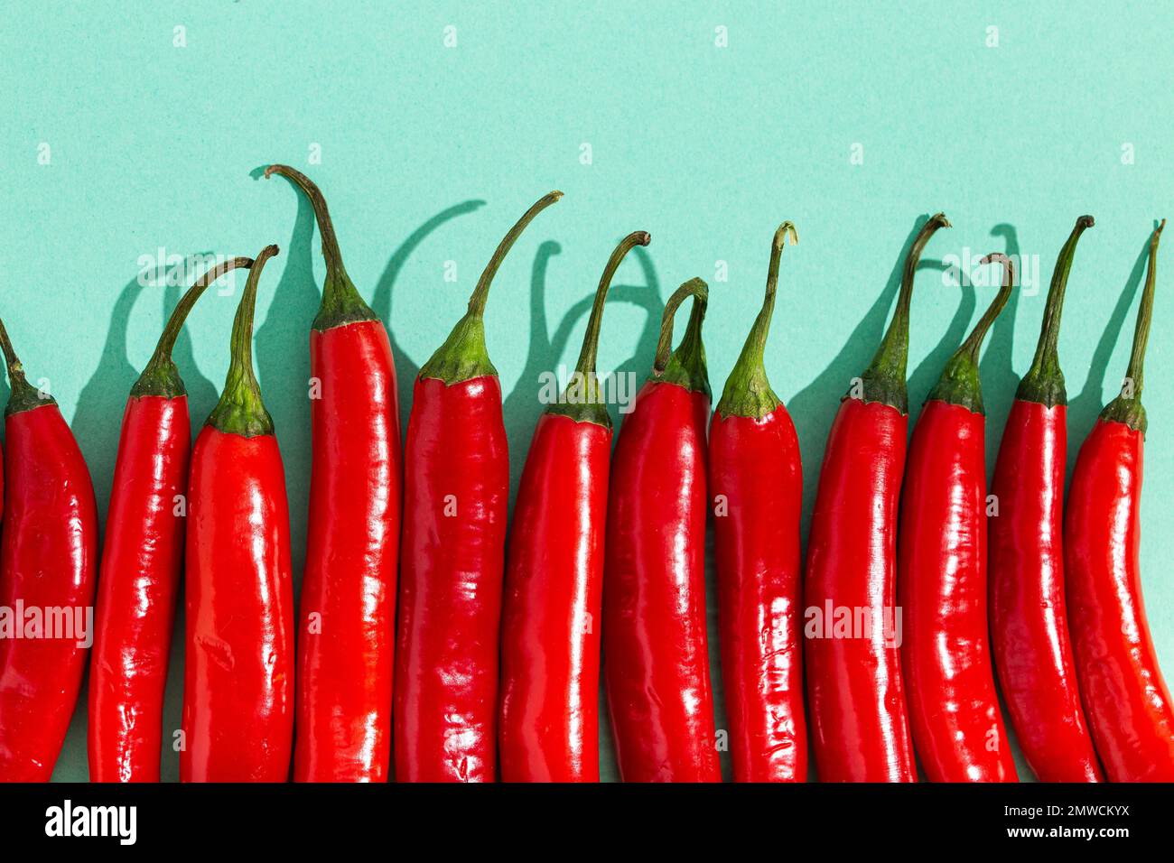 Red hot chilli peppers on minimal blue contrast background close up ...