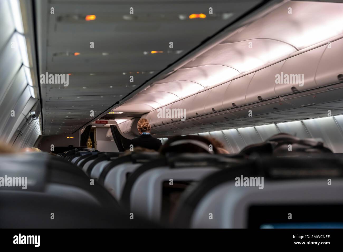 Interior of an aircraft, stewardess, rows of seats in an aircraft Stock ...