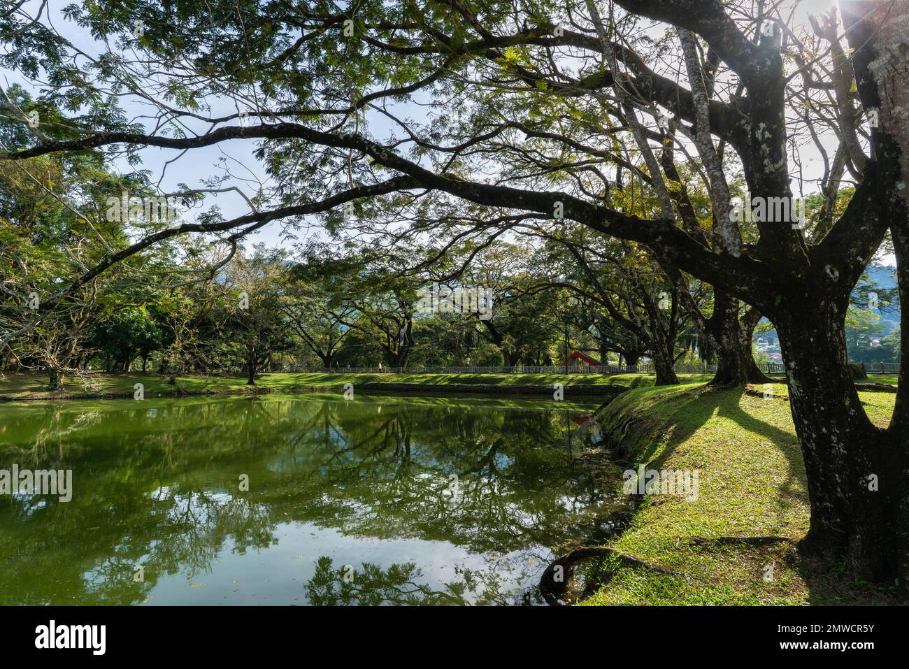 Taiping, Malaysia - 1st Jan 2023: Beautiful Taiping Lake Gardens, a ...