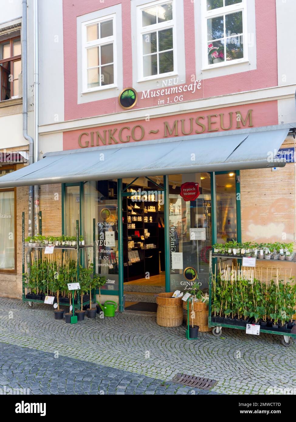 Ginkgo Museum and Shop, Weimar, Thuringia, Germany Stock Photo - Alamy