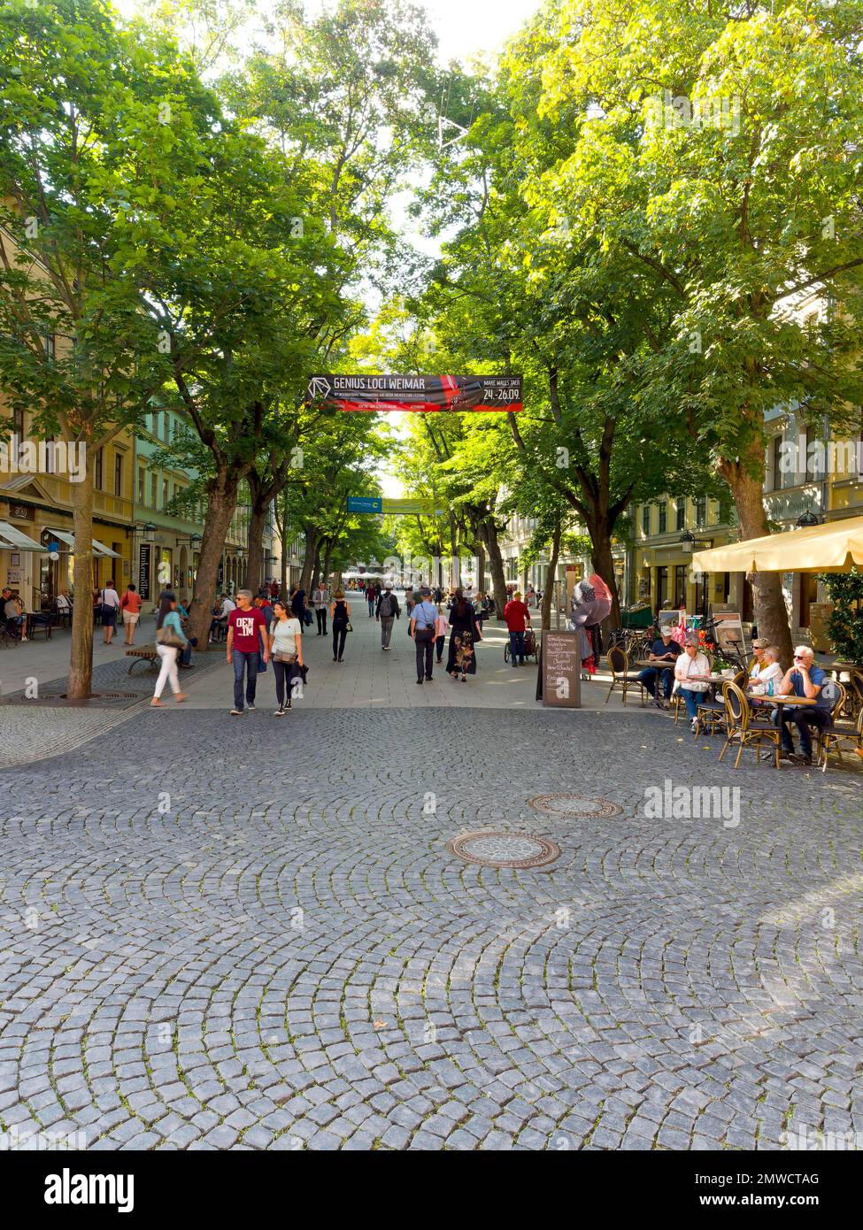 Pedestrian zone with avenue trees, Weimar, Thuringia, Germany Stock Photo - Alamy