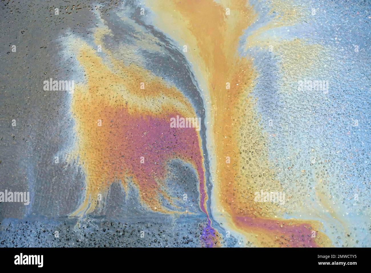 Environmentally harmful traces of oil on an asphalt road, Berlin ...